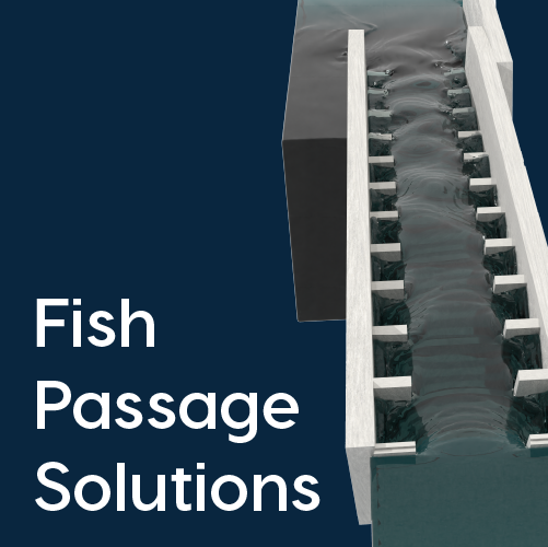 Fish Passage Solutions - FLOW-3D HYDRO